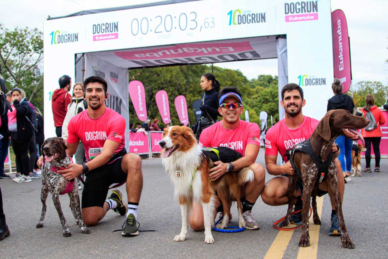Llega DogRun 2024: actividad física y diversión junto a tu mascota ...